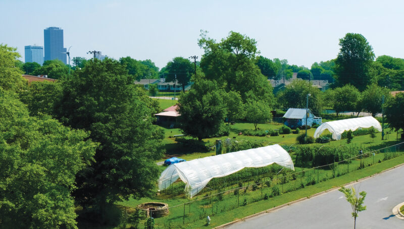 Community Garden Benefits Little Rock Neighborhood – Mother Earth News